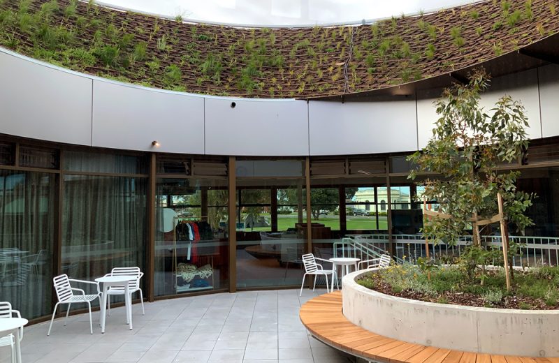 Masson For Light Boronggook Drysdale Library - Masson For Light